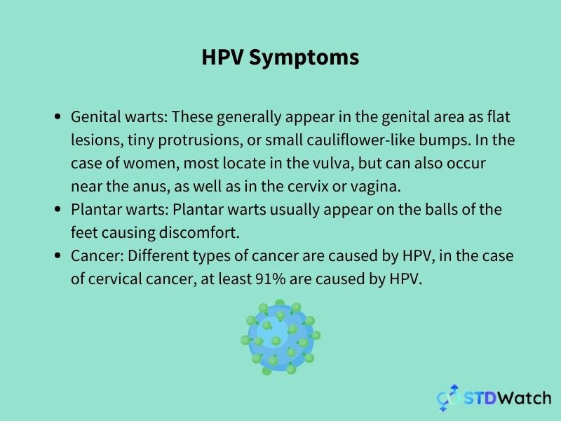 Hpv Everything You Need To Know